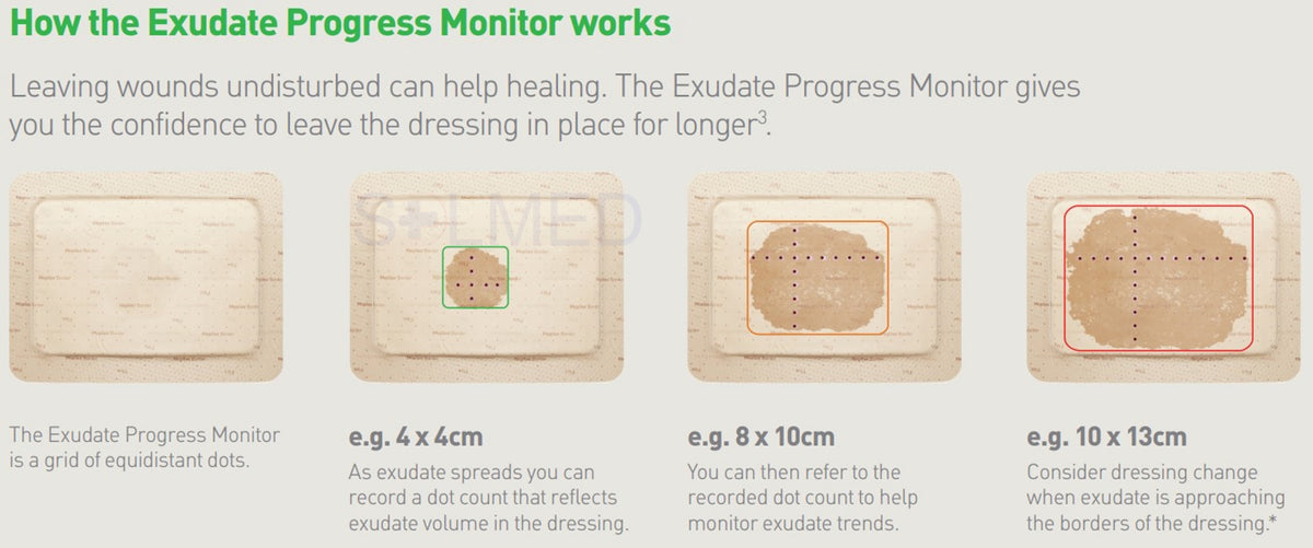 Mepilex Border Flex | SOLMED MEDICAL SUPPLIES – Solmed Medical Supplies